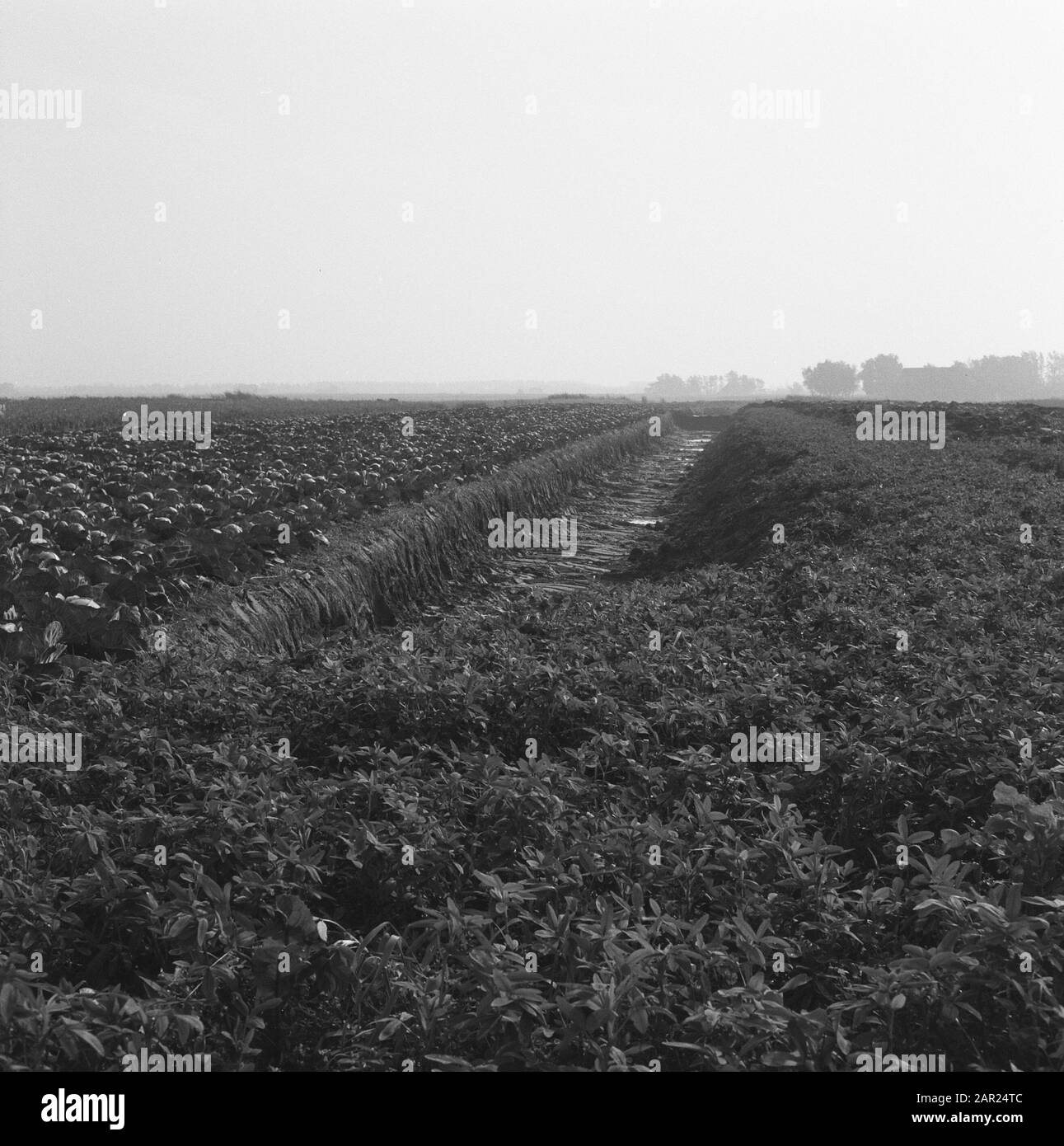 Dredging ditches hi-res stock photography and images - Alamy