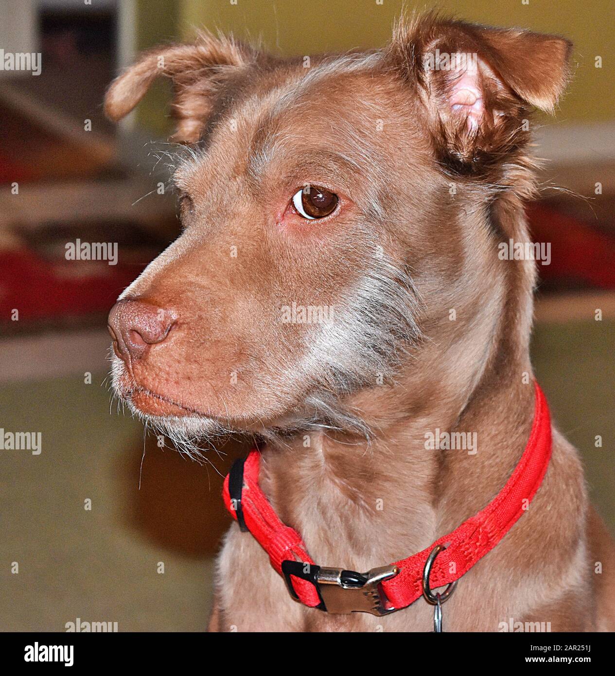 Giving the evil eye hi-res stock photography and images - Alamy