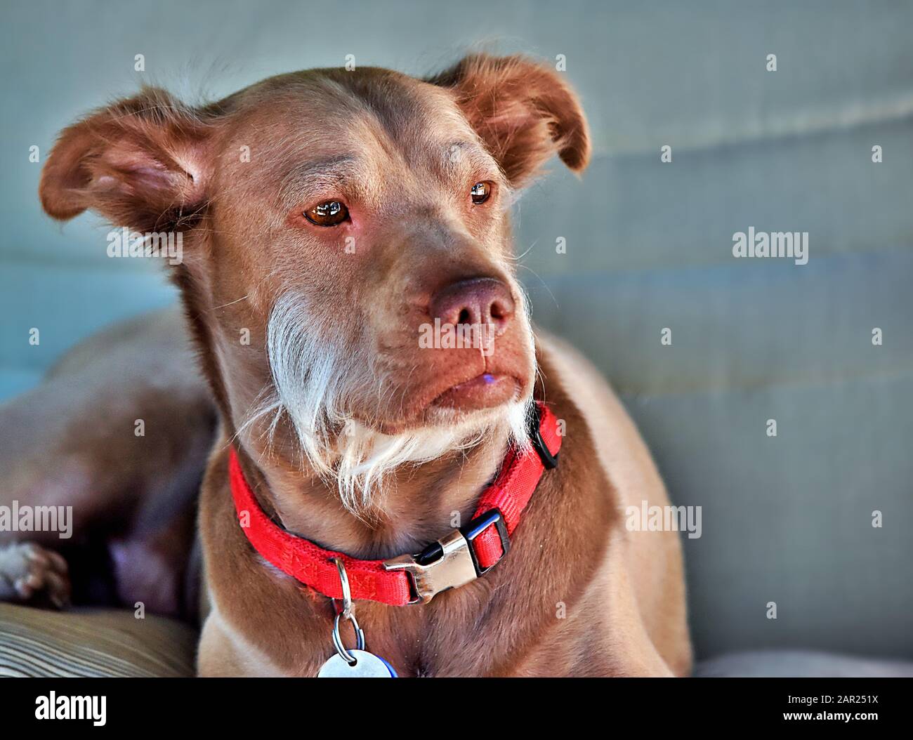 Just chillin hi-res stock photography and images - Alamy