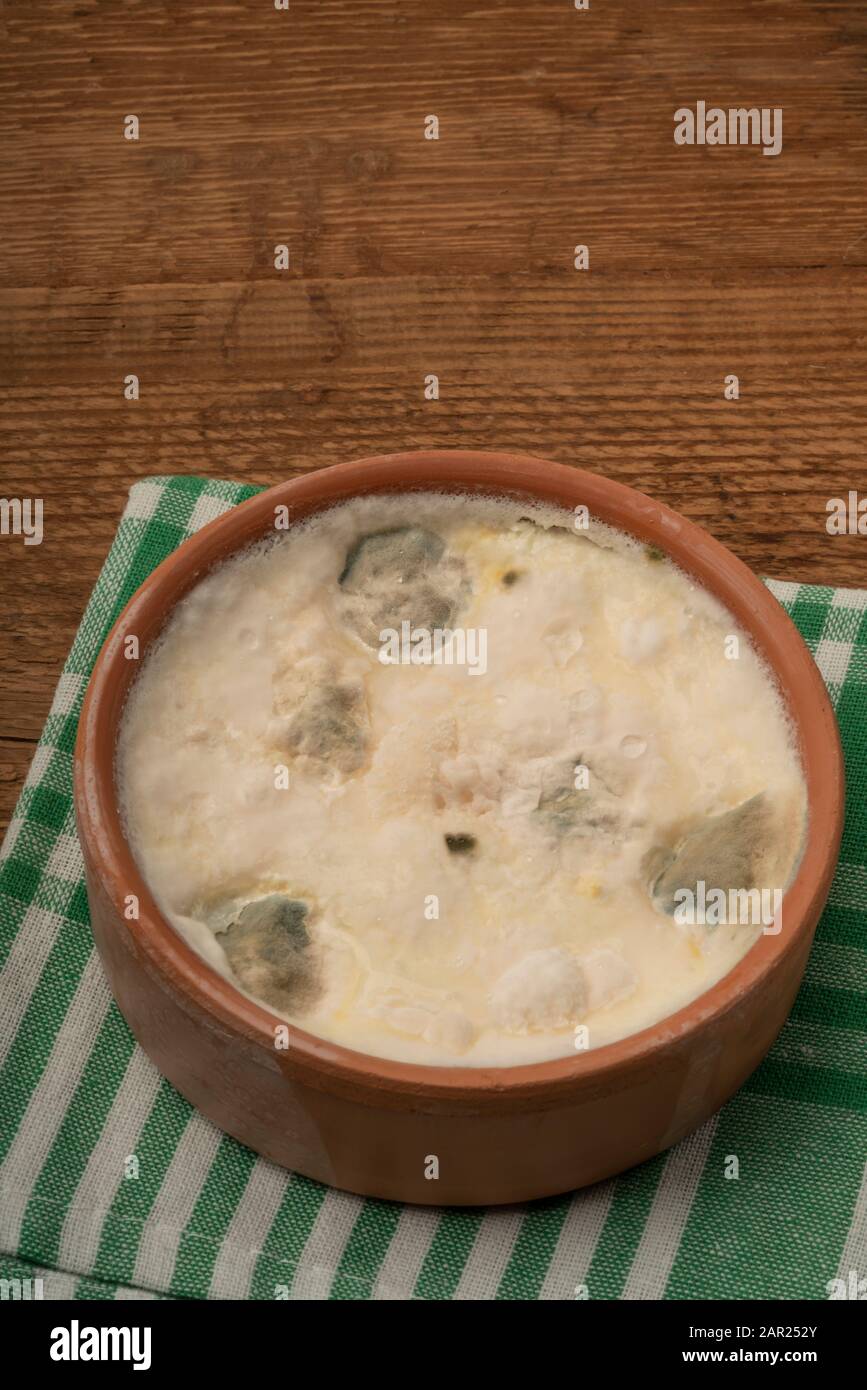 Bacteria Yoghurt Mold High Resolution Stock Photography and Images - Alamy