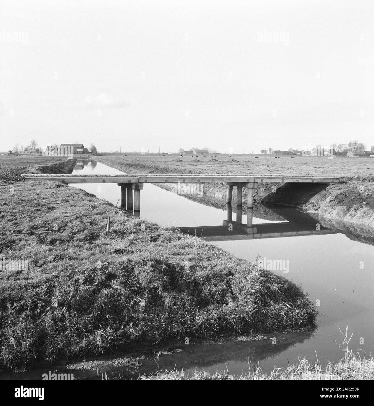digging and improving canals, building bridges, bridges, agriculture ...
