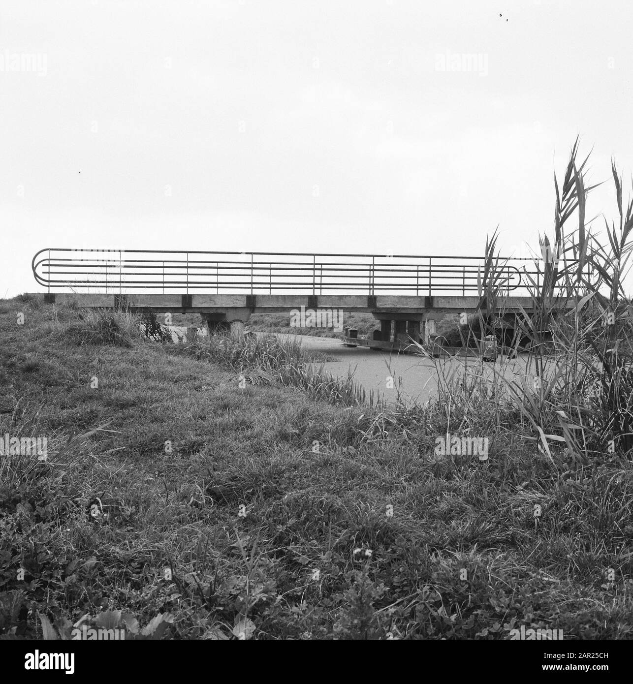 digging and improving canals, laying bridges, bridges, concrete ...