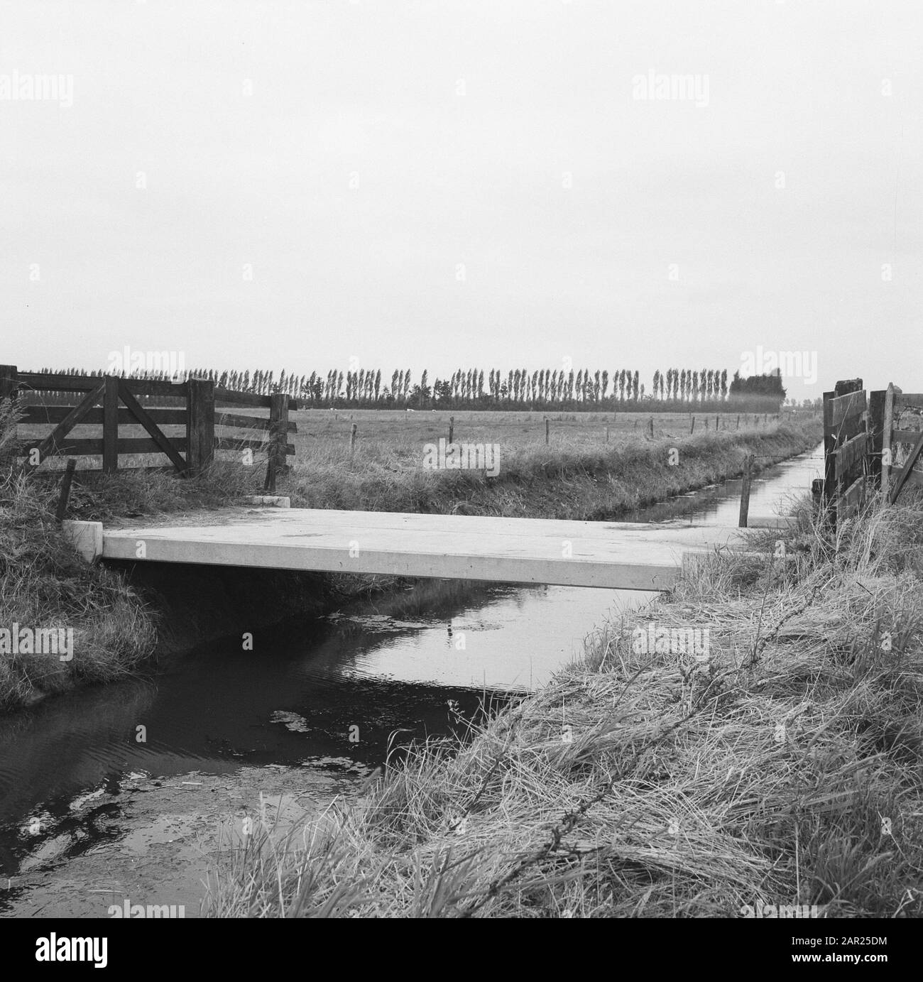 digging and improving canals, laying bridges, water, plates ...