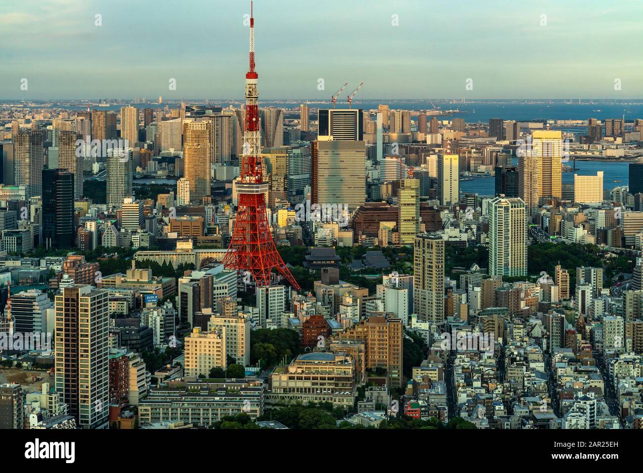 Panoramic shot of Tokyo City with the famous red Tokyp Tower in the ...