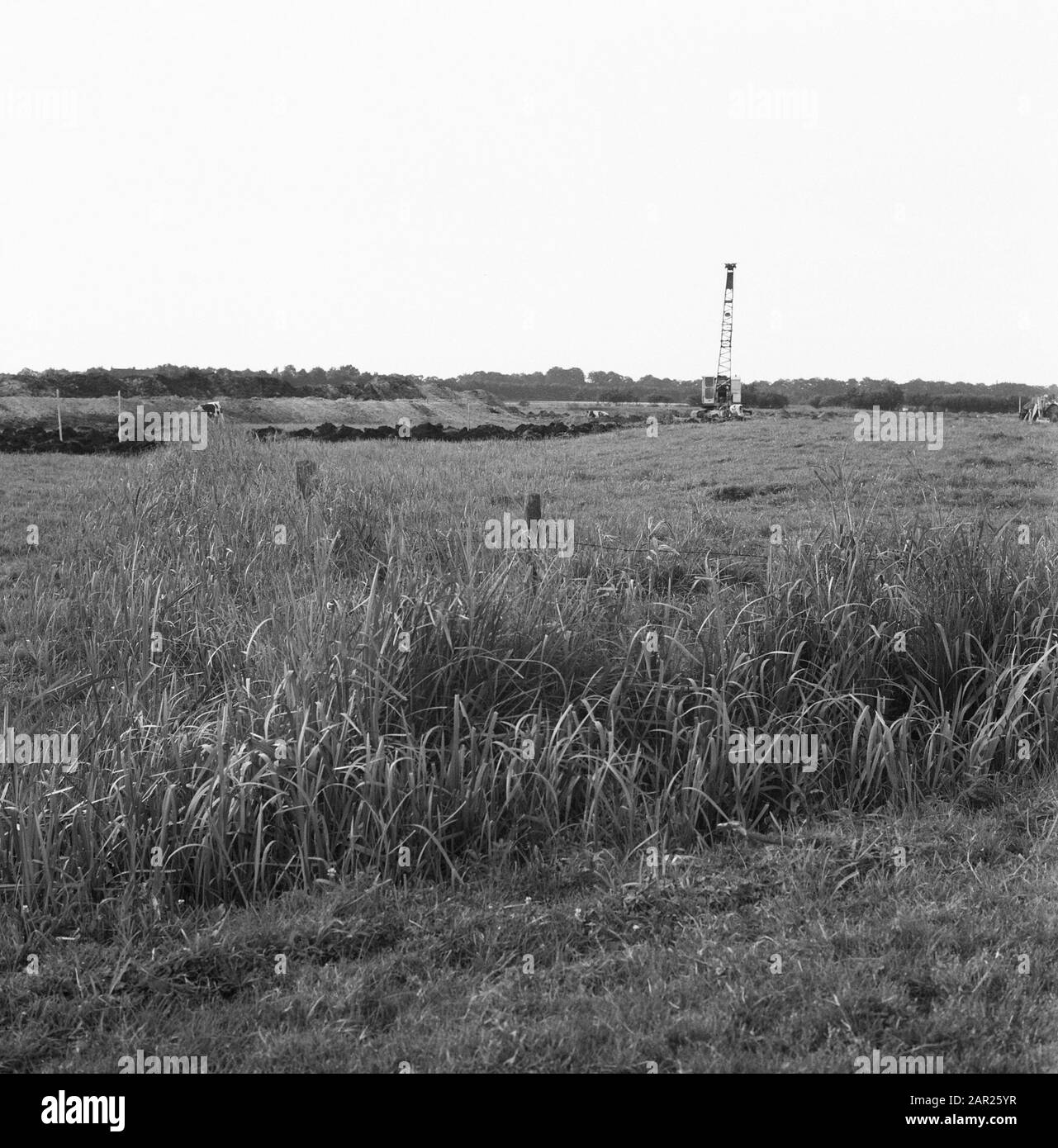 Land cranes Black and White Stock Photos & Images - Alamy