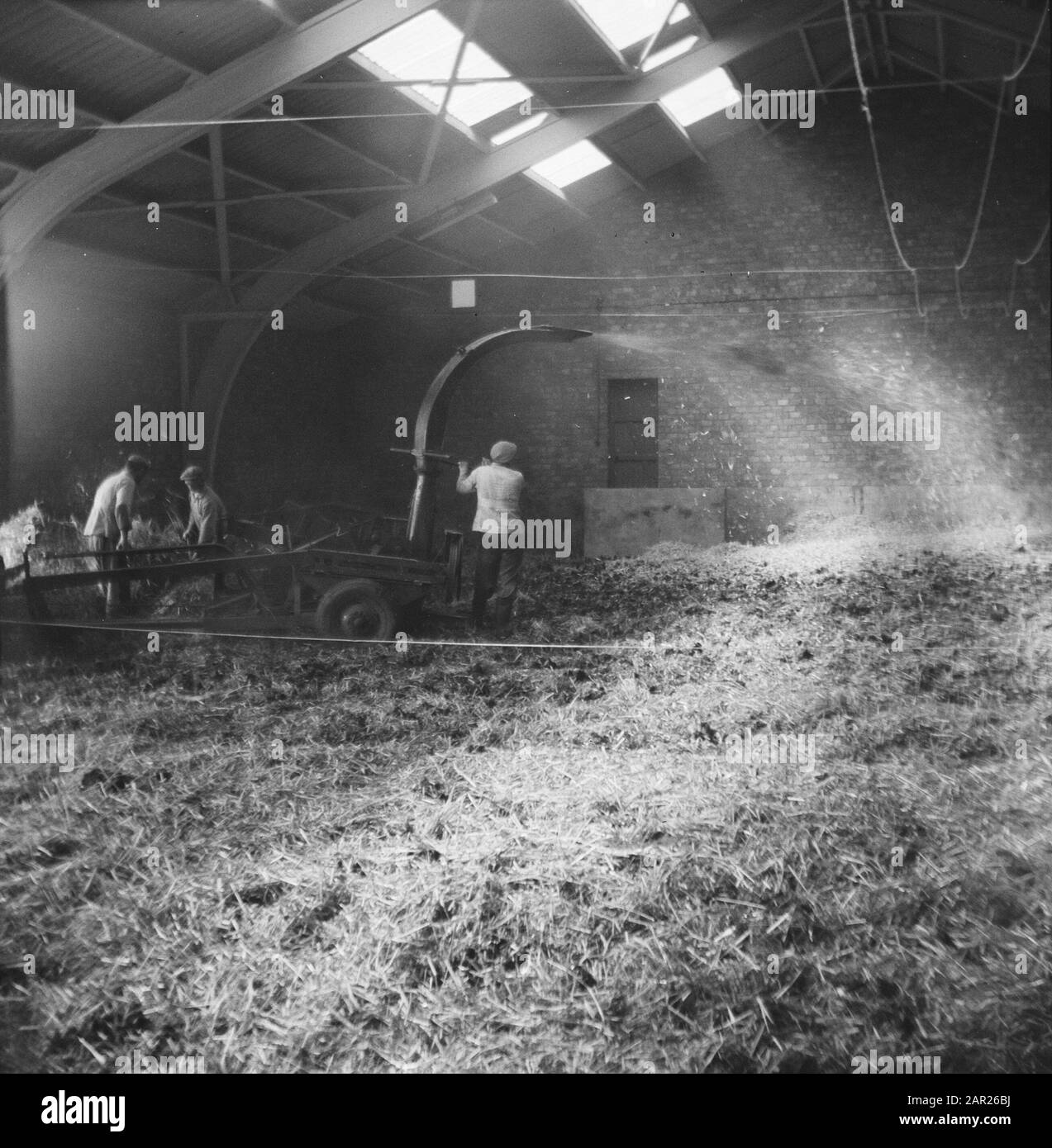 Livestock and straw Black and White Stock Photos & Images - Alamy