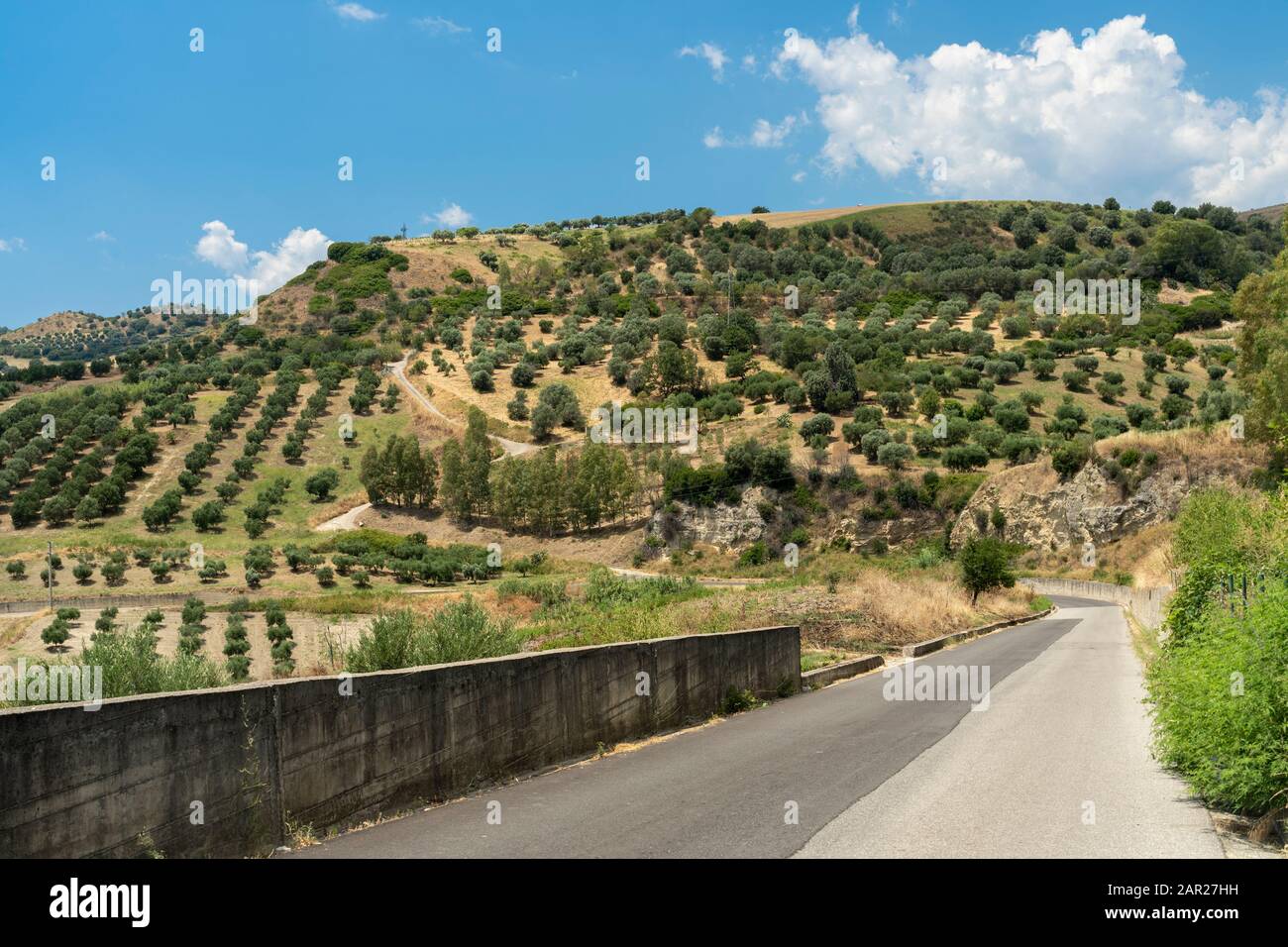 Rural landscape at summer in Calabria, Italy, near Tarsia, in Cosenza ...