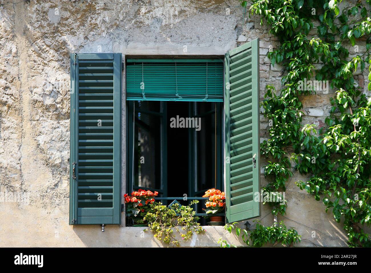 Window with green shutters on an old Italian house with ivy growing on ...