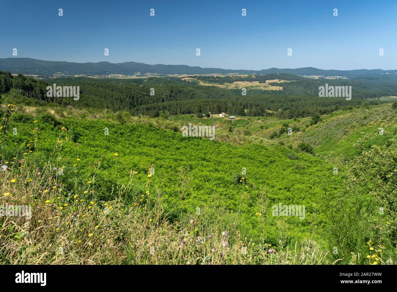 Mountain landscape in the Sila natural park near Longobucco, Cosenza ...