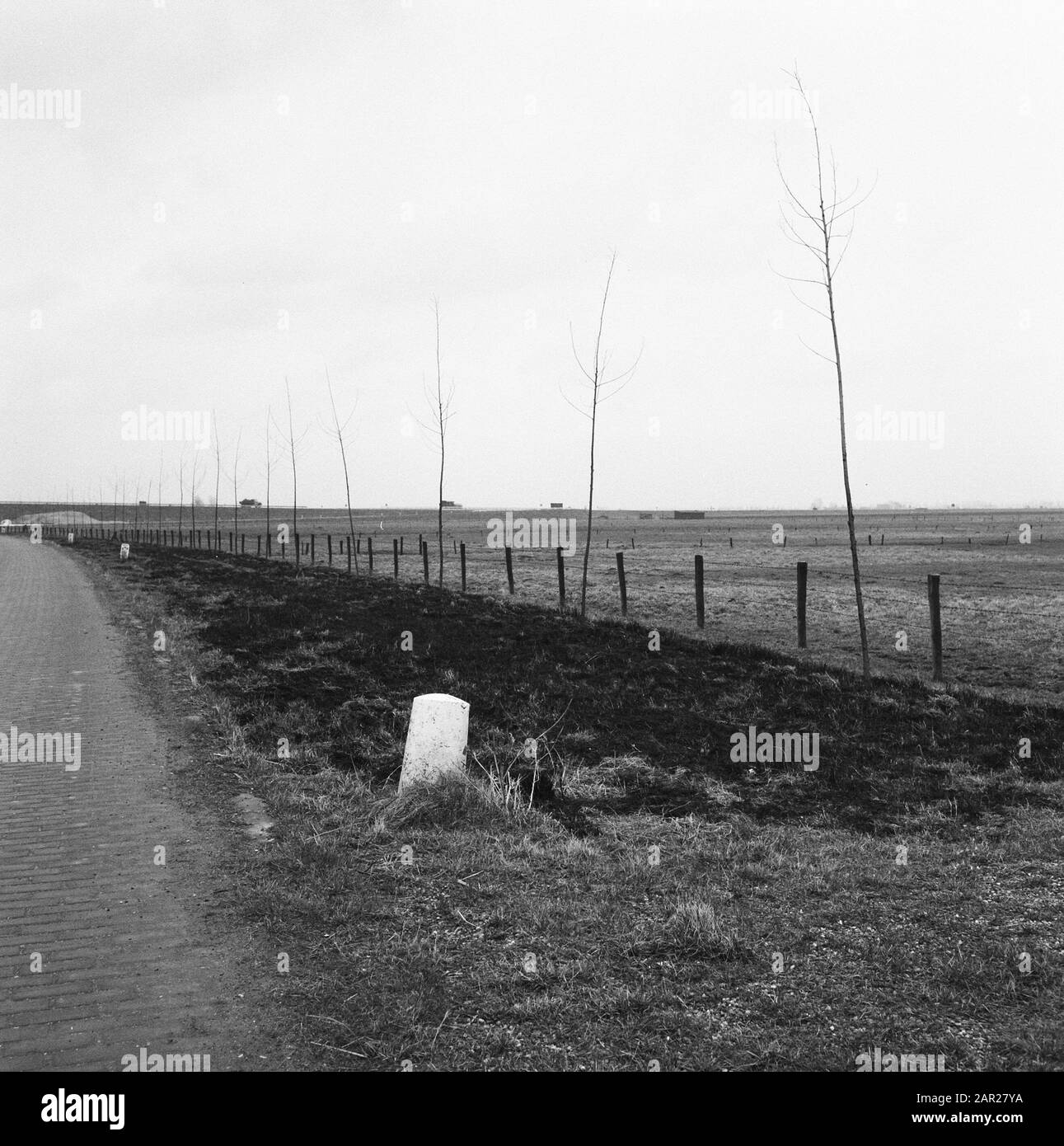 Poplar down Black and White Stock Photos & Images - Alamy