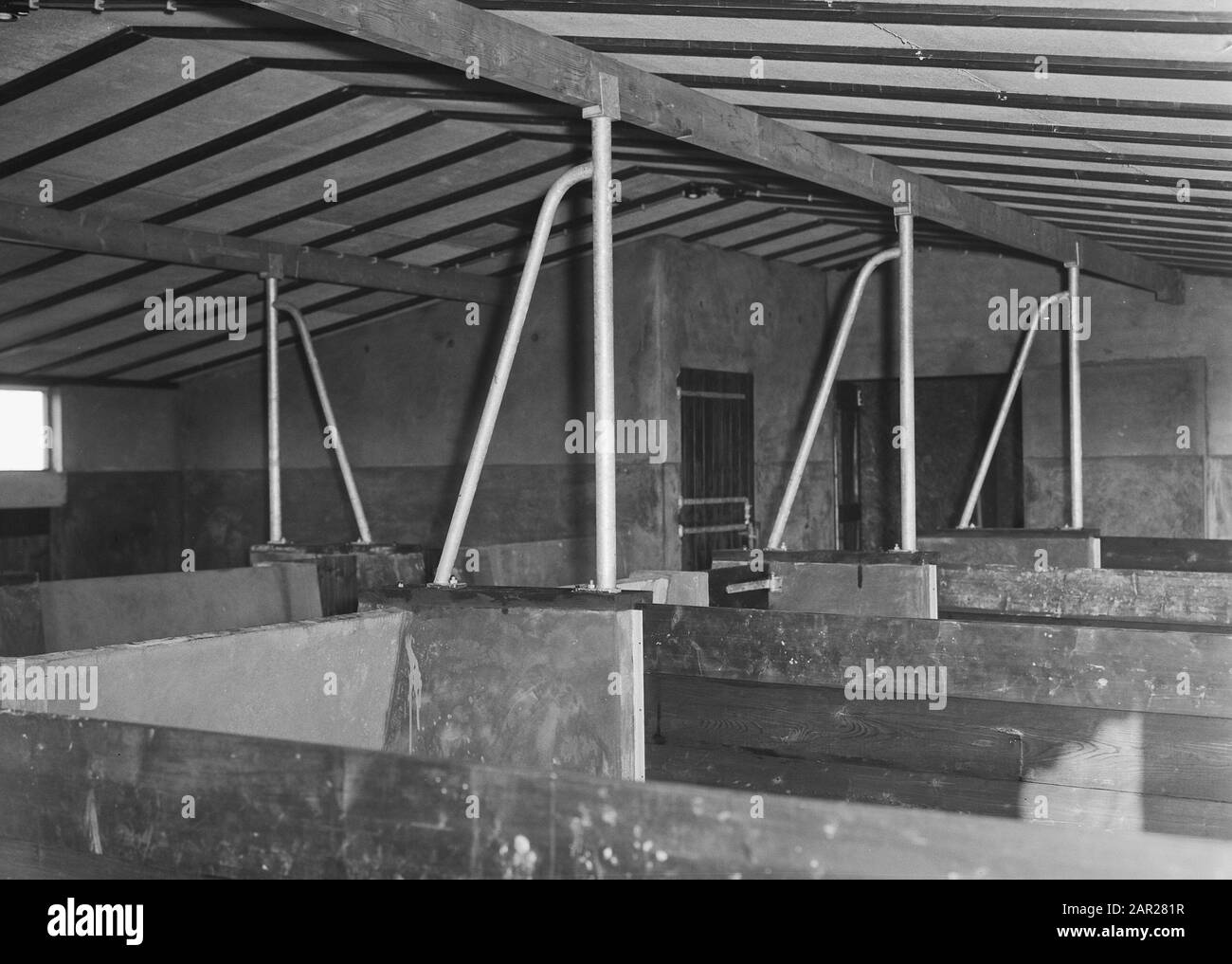 stables and barns, cattle houses, interiors, agroconstruction Date ...