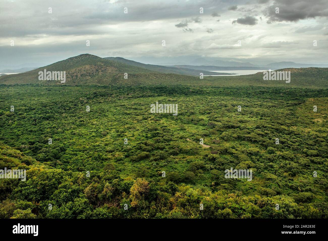 Panoramic view to Mago National Park at Omo valley, Etiopia Stock Photo ...