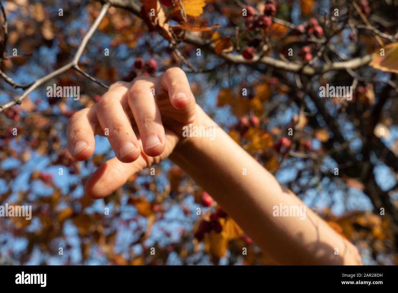 dancer hand, contemporary dance performance, contact improvisation ...