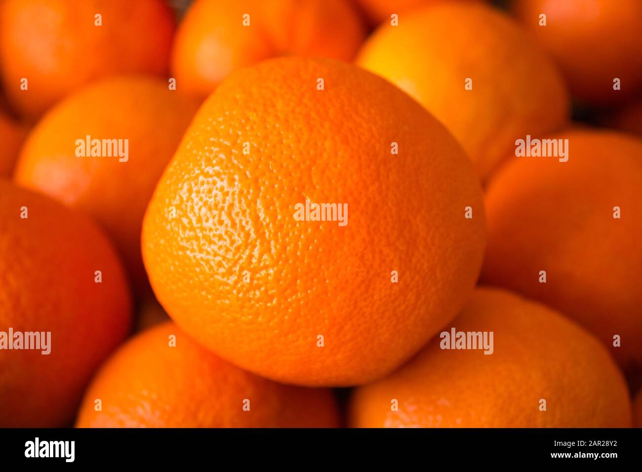 Naranja citrus sinensis hi-res stock photography and images - Alamy