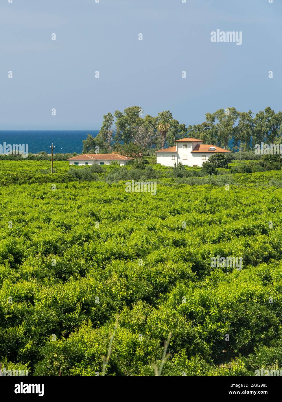 Rossano hi-res stock photography and images - Alamy