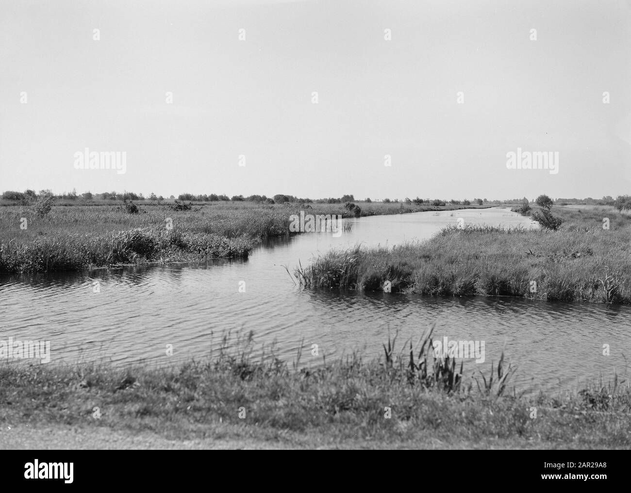 Reed collars hi-res stock photography and images - Alamy