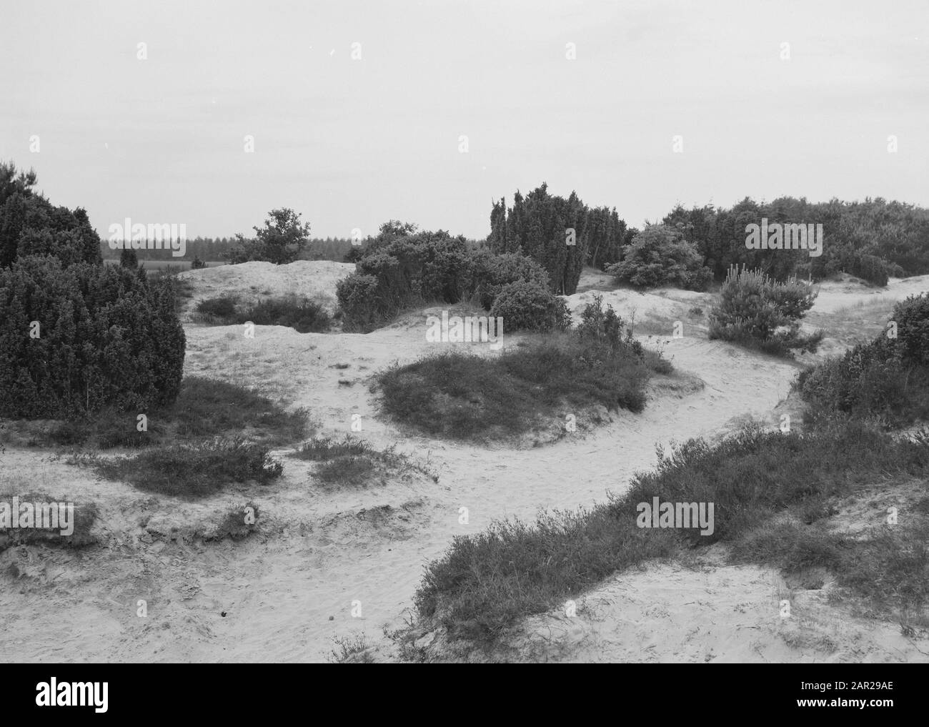 Drenthe landscape Black and White Stock Photos & Images - Alamy