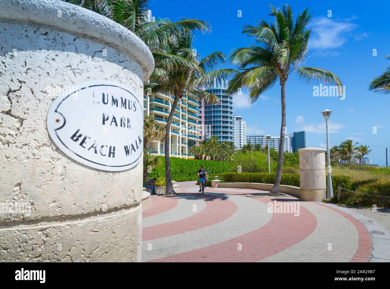 Beach walk and palm trees on South Beach, Miami Beach, Miami, Florida ...