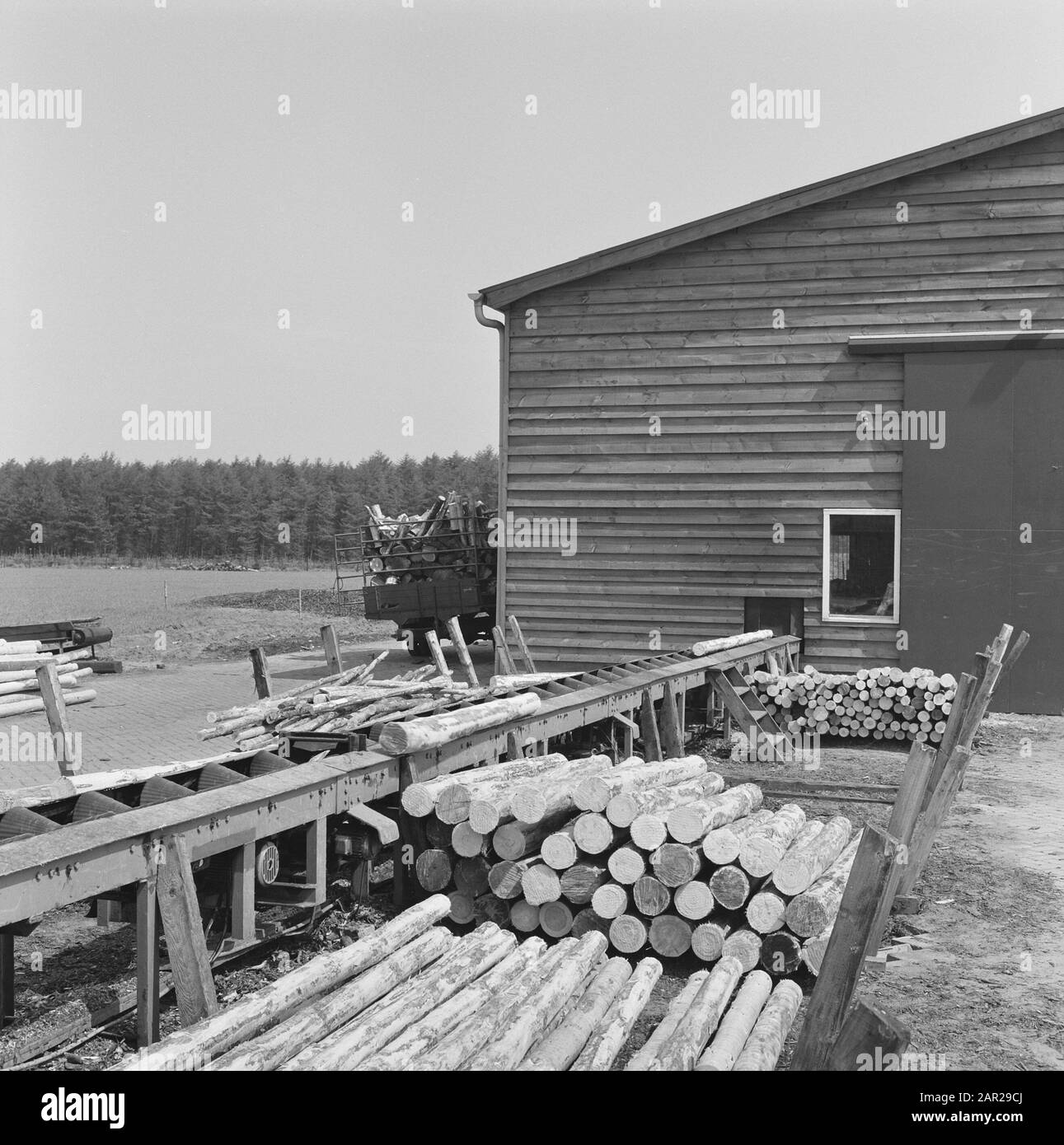 woodworking, wood sorting companies, strains, shedding, sorting ...