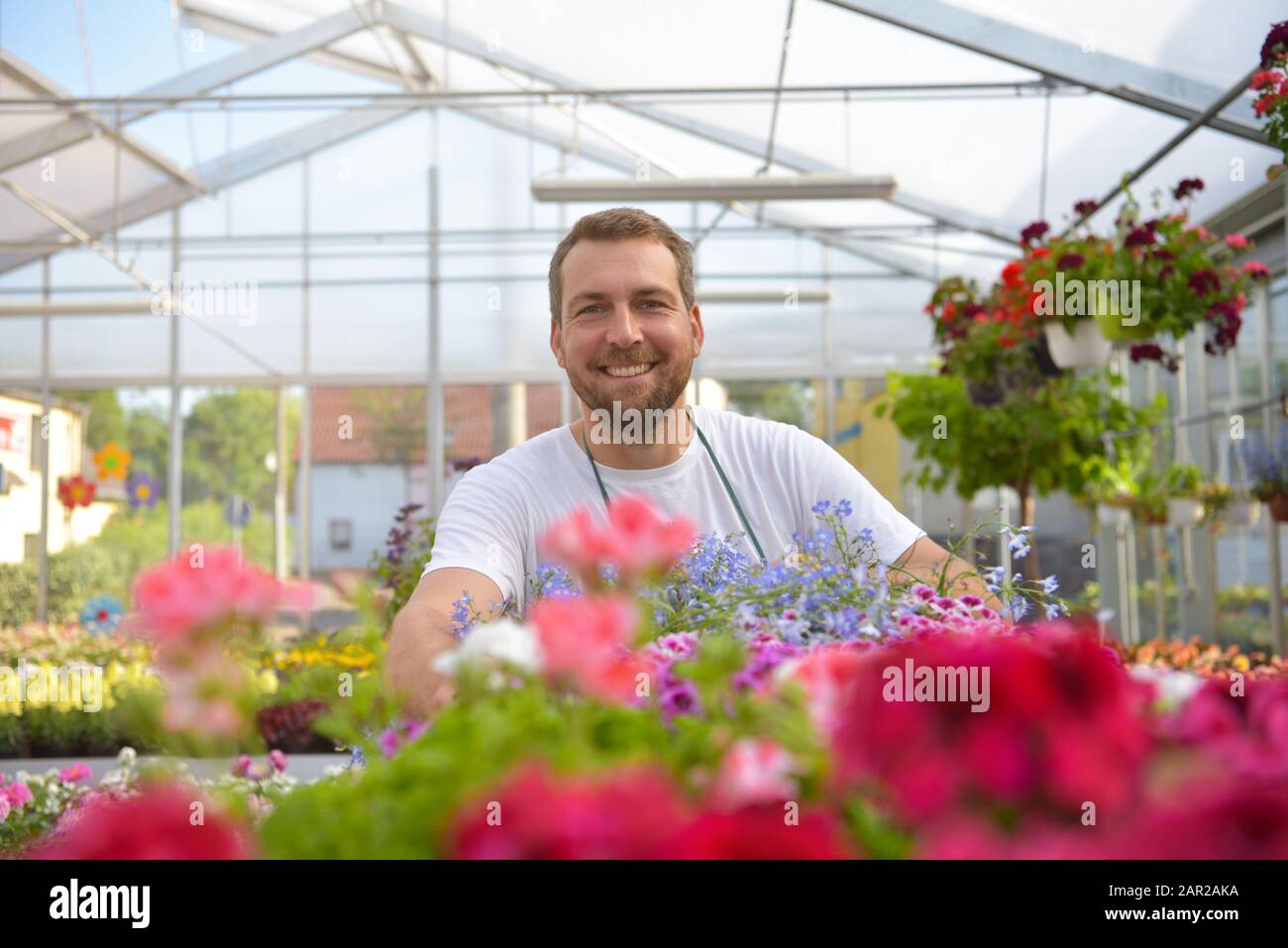 happy worker growing flowers in a greenhouse of a flower shop Stock ...