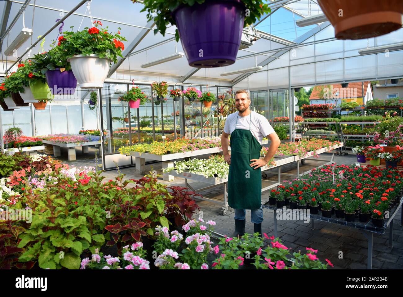 happy worker growing flowers in a greenhouse of a flower shop Stock ...