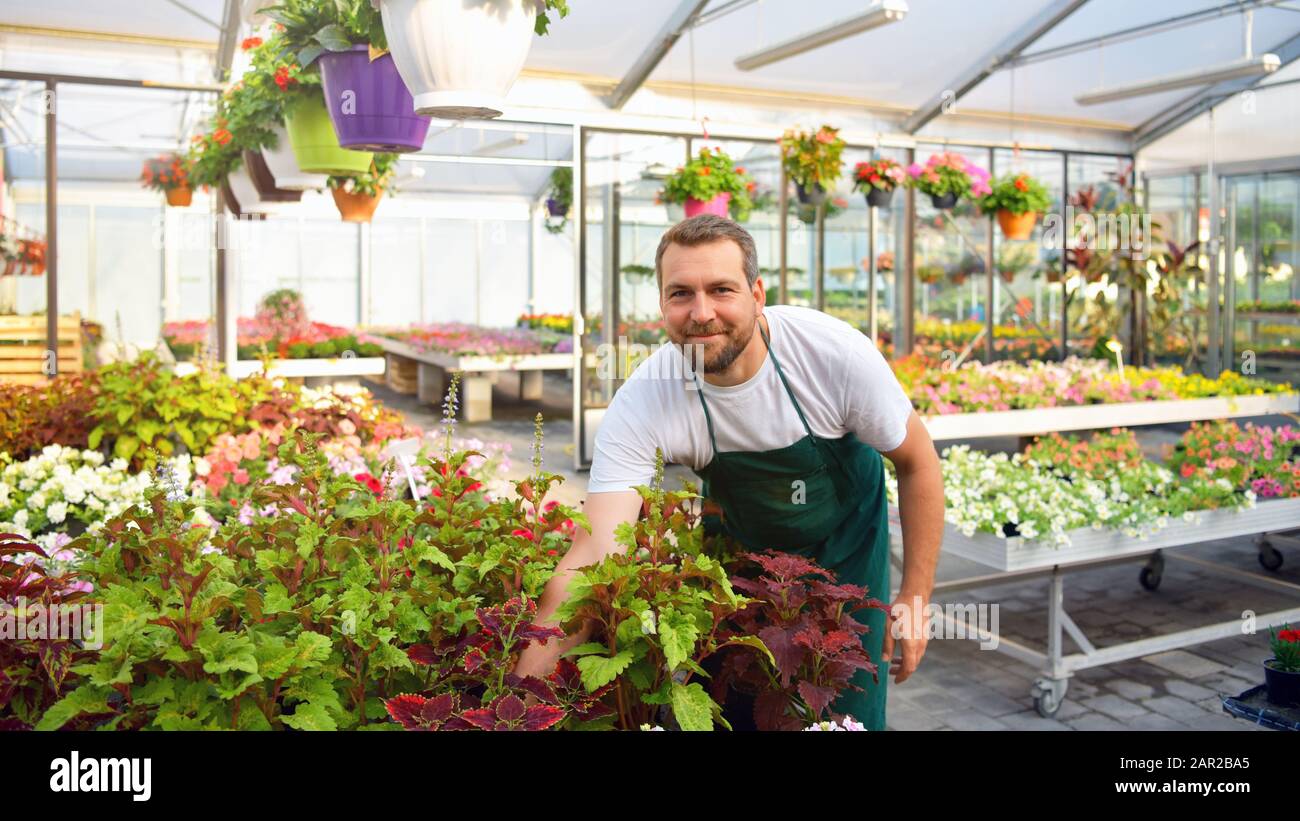 Male flower shop caucasian happy hi-res stock photography and images ...