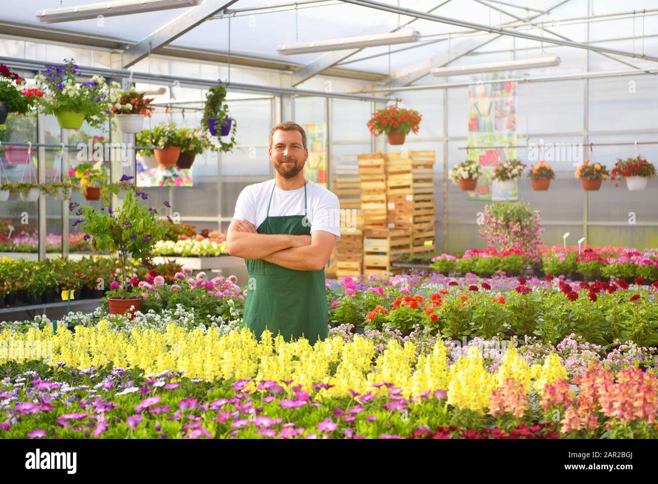 happy worker growing flowers in a greenhouse of a flower shop Stock ...