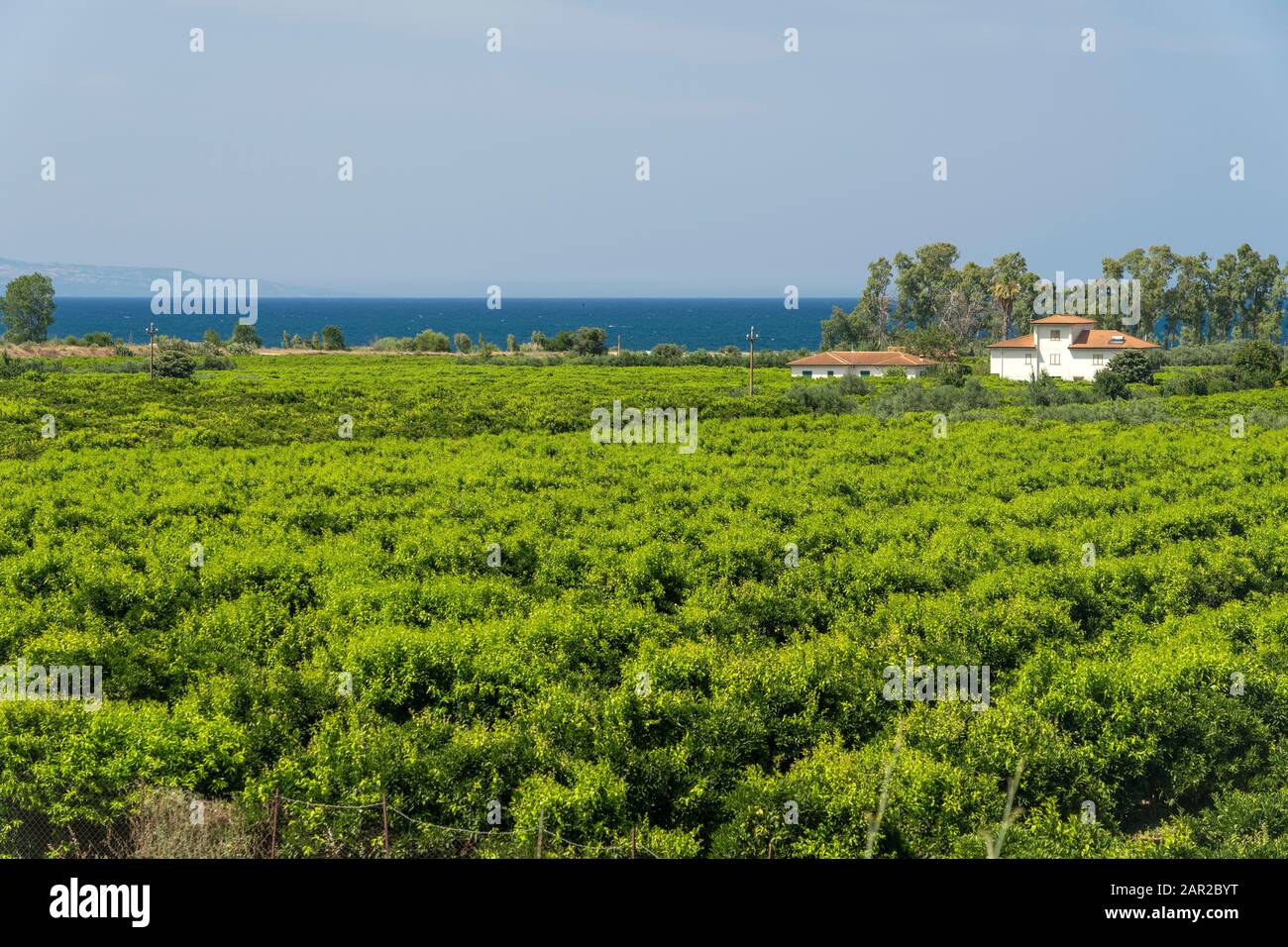 Rossano hi-res stock photography and images - Alamy