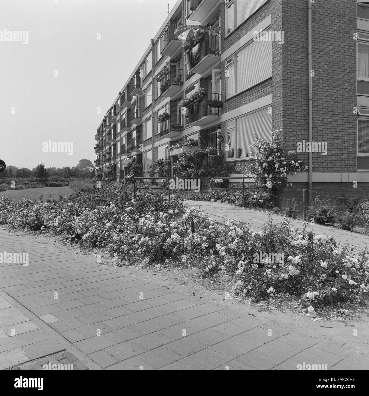 flats, exterior Date: undated Keywords: exterieur, flats Stock Photo ...