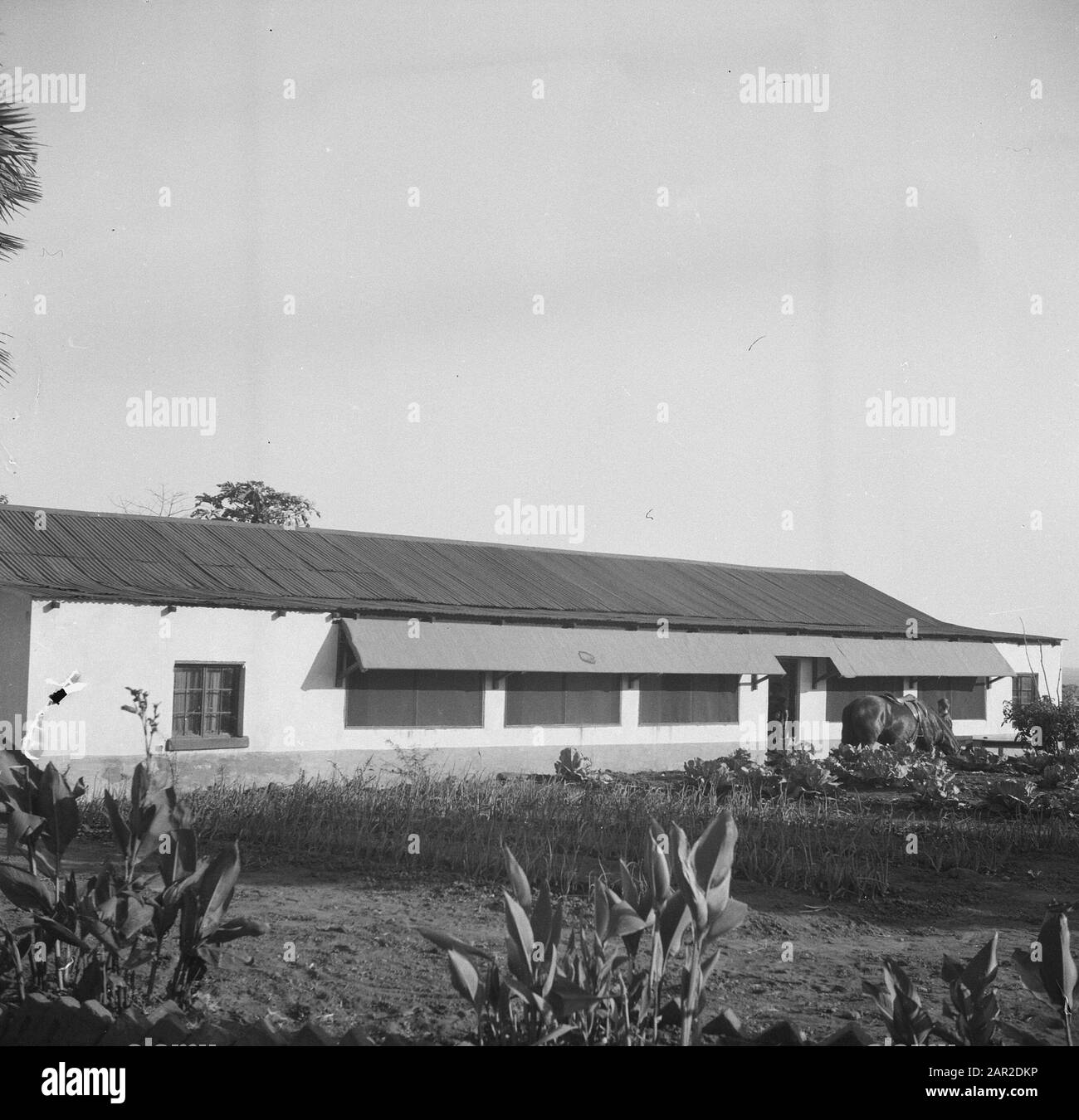 Buildings design features Black and White Stock Photos & Images - Alamy