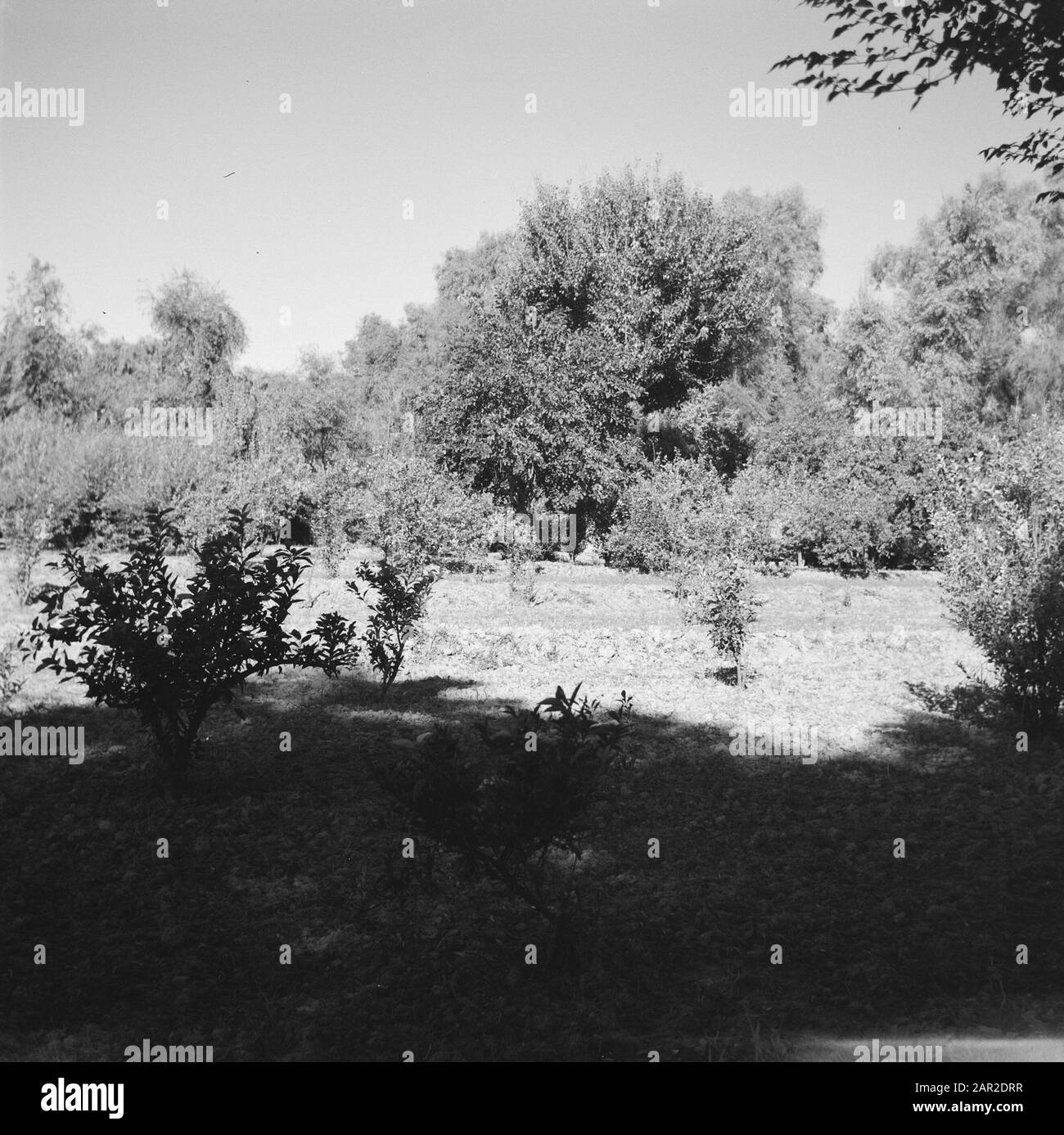 Beauty experience Black and White Stock Photos & Images - Alamy