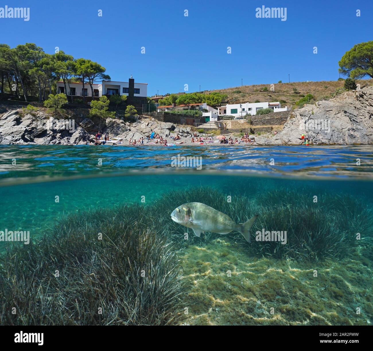 Mediterranean sea coastline, rocky beach with tourists in summer and ...