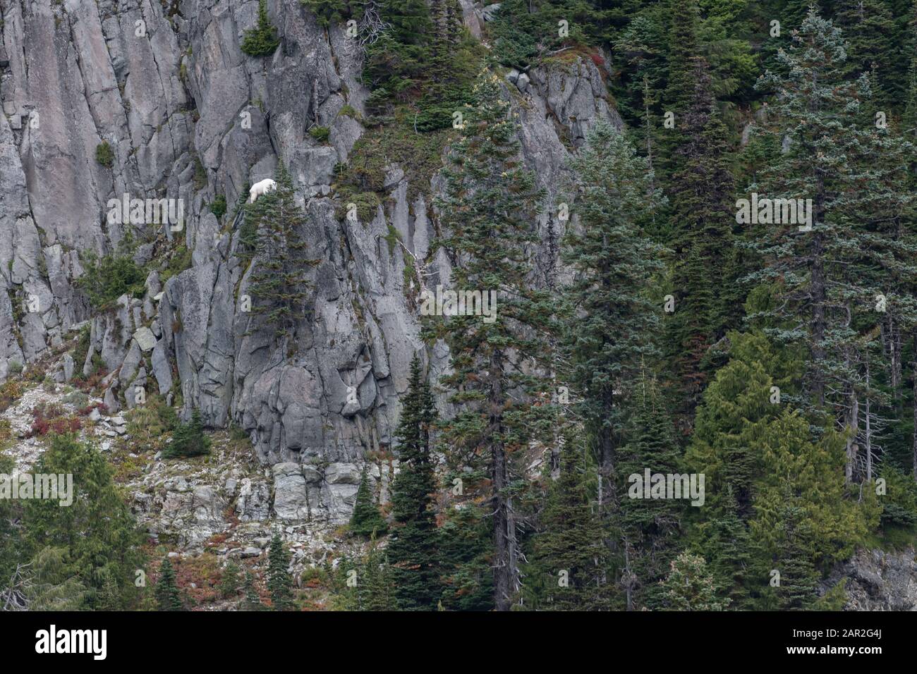 Cliff dropoff hi-res stock photography and images - Alamy