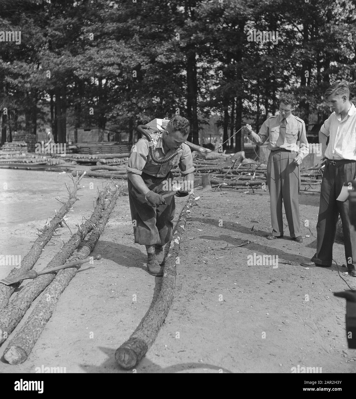 woodworking, workers, logs, tools Date: undated Keywords: workers, logs ...