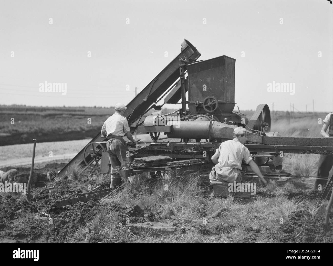 mining, livestock in the meadow, general images, peat stitch reportage ...