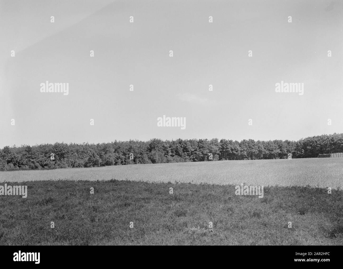 extraction, sowing and harvesting crops, heather, foundation ...