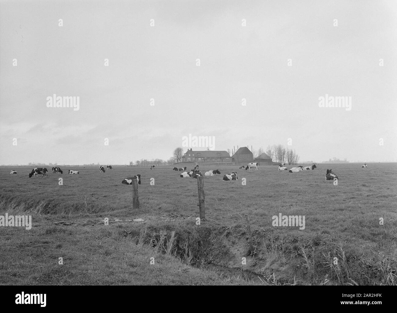 mining, livestock in the meadow, general images, peat stitch reportage ...