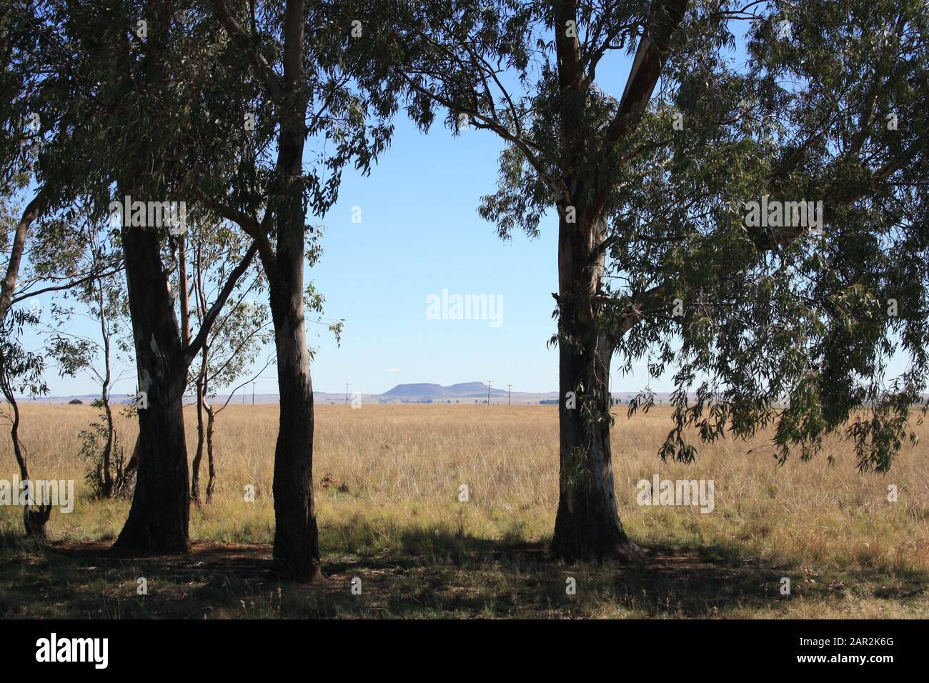 Free State Farm, SA Stock Photo - Alamy