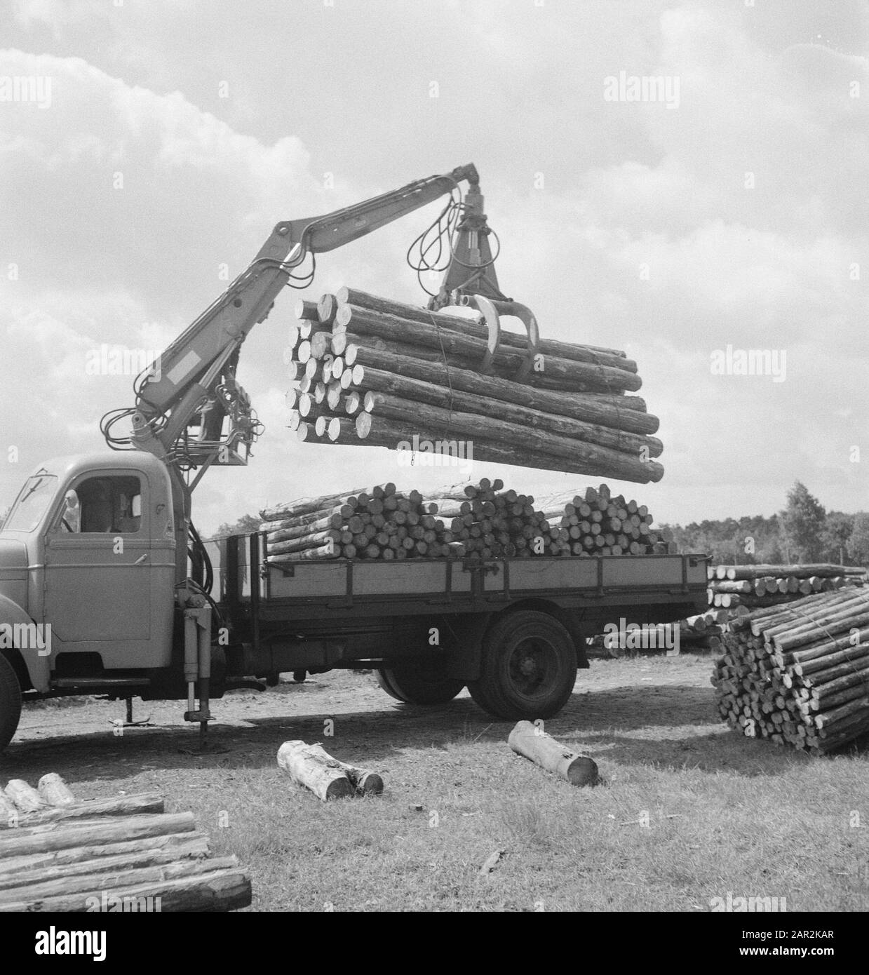 wood storage places, logs, trucks, tow trucks, lifting equipment Date ...