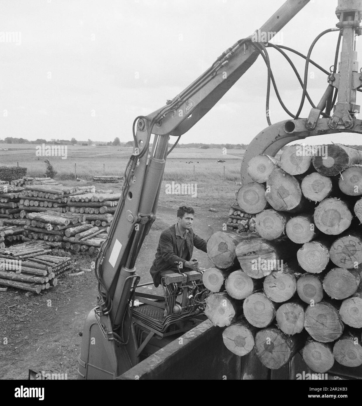 wood storage places, workers, machinery, tools, lifting equipment Date ...