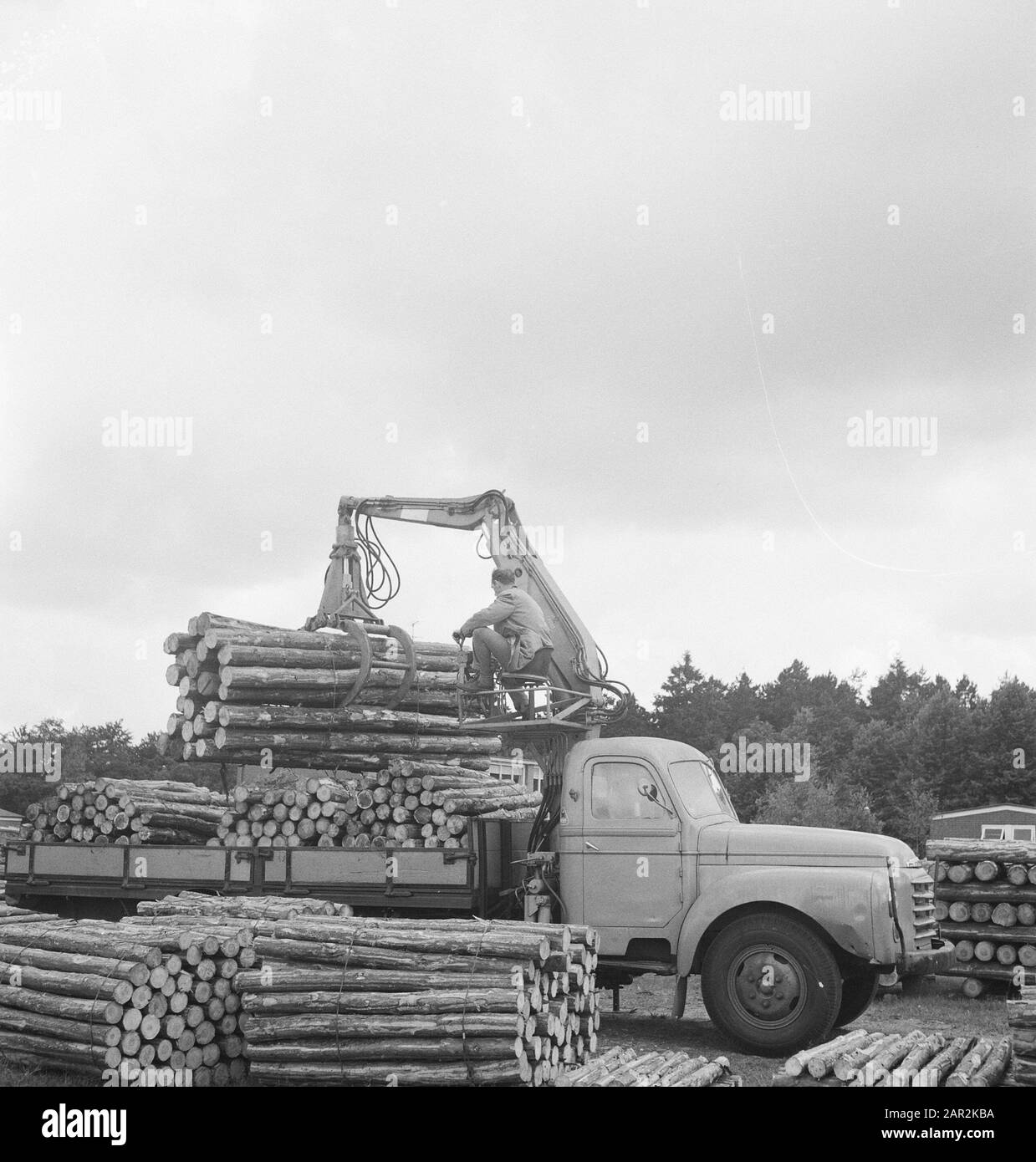 wood storage places, logs, trucks, lifting equipment, tow trucks ...