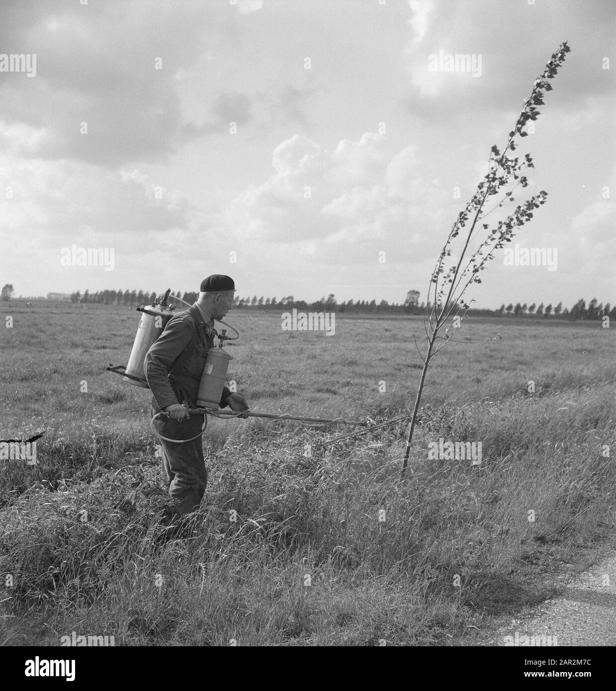 roads, roadside, trees, workers, spray installations Date: undated ...