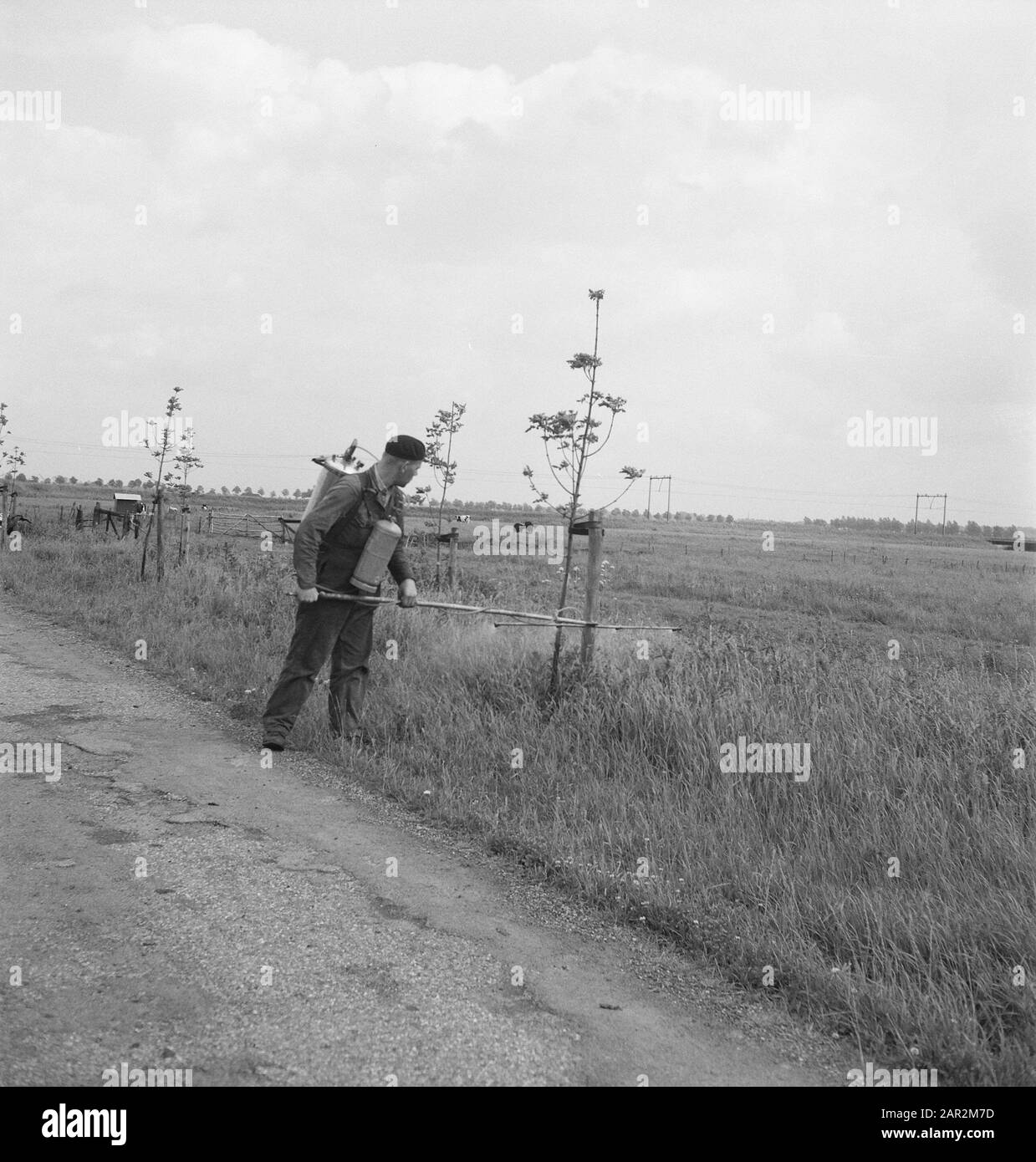 roads, roadside, trees, workers, spray installations Date: undated ...