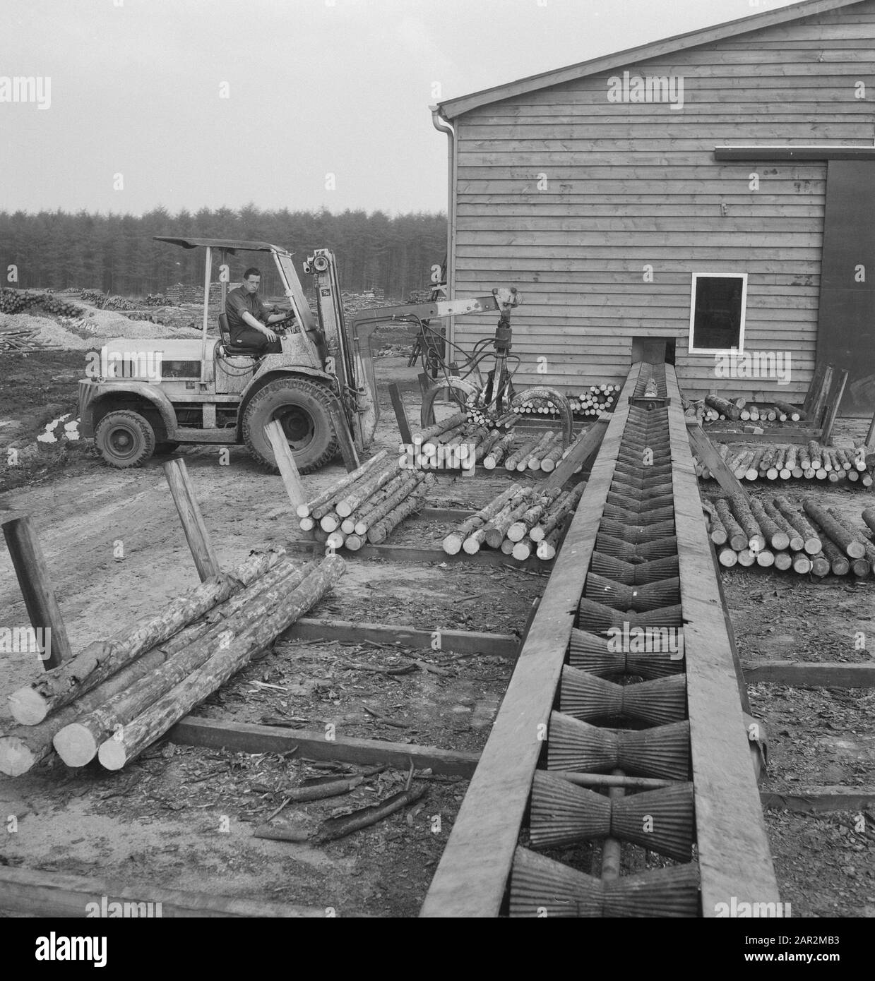 woodworking, logs, machinery, tools, workers, buildings, hoist work ...