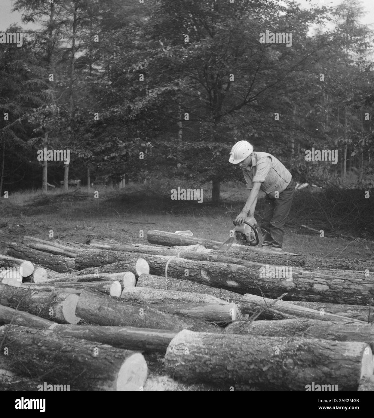woodworking, workers, logs, tools, motor saws Date: undated Keywords ...