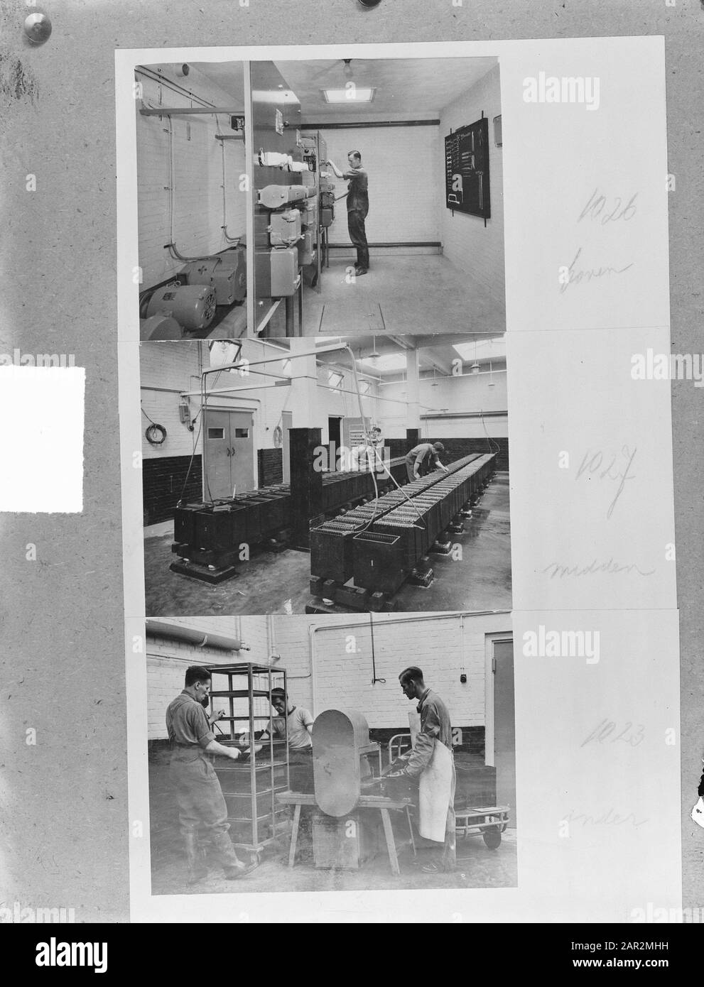 Reproduction acifit hi-res stock photography and images - Alamy