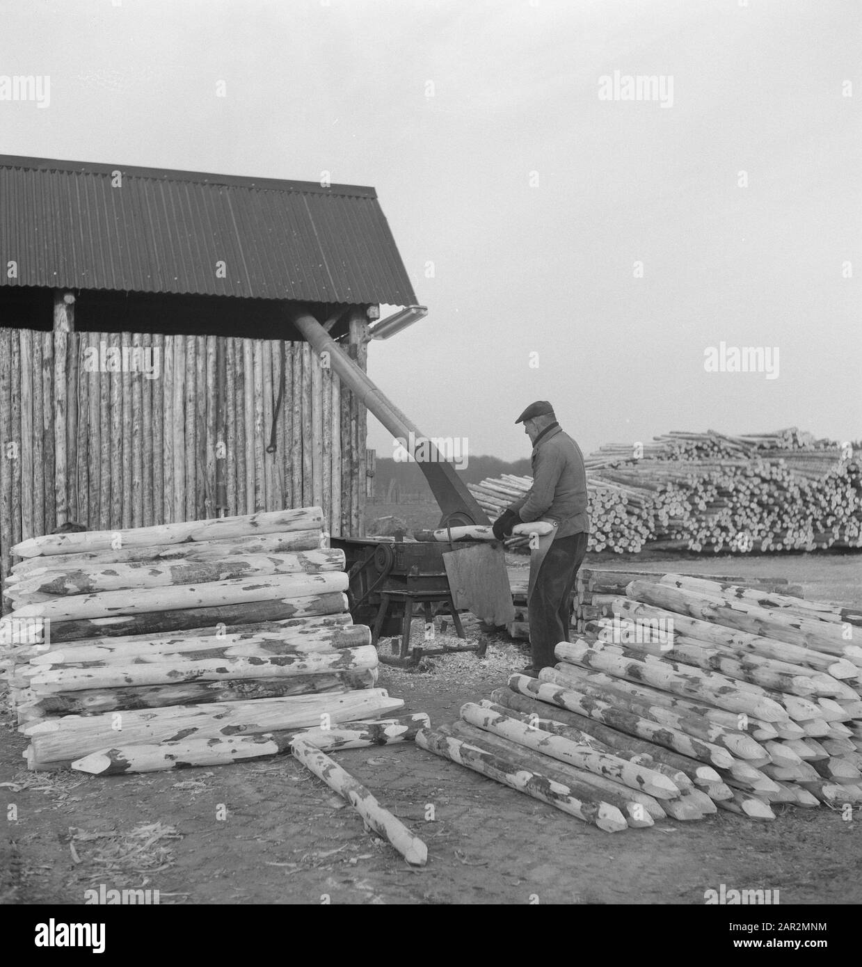wood stores, logs, workers, machines Date: undated Keywords: workers ...