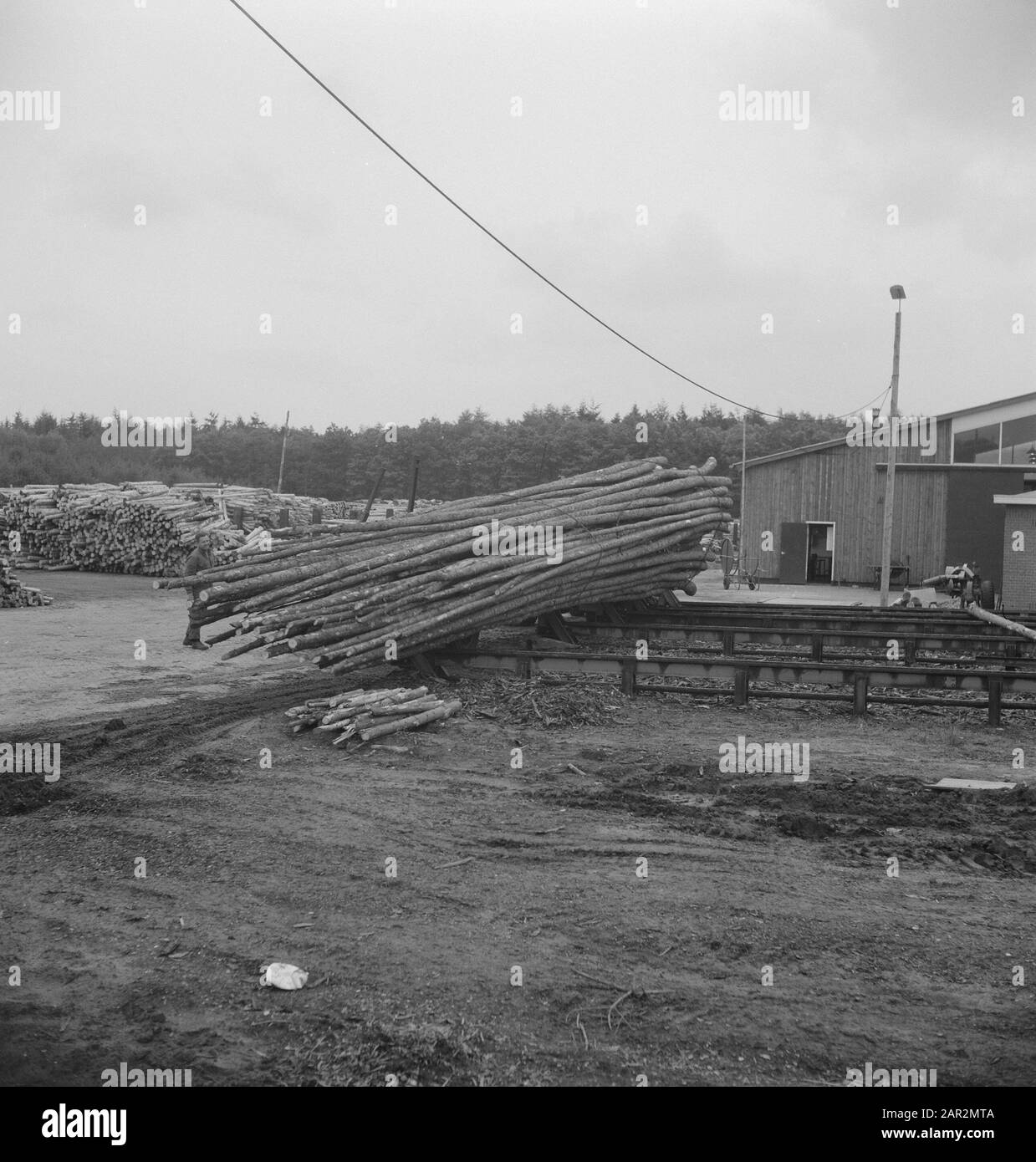 wood stores, logs, buildings, barns Date: undated Keywords: logs ...