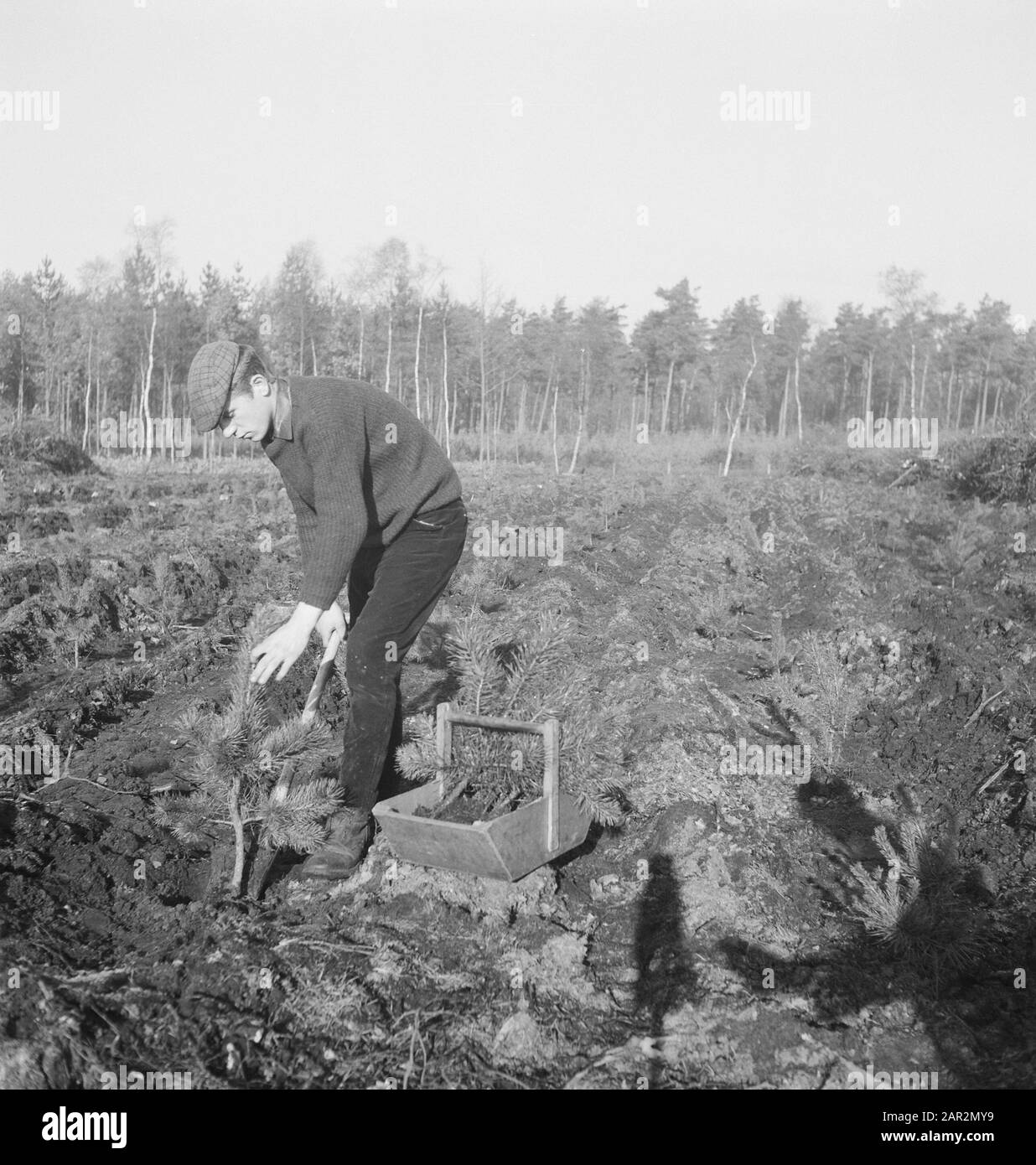 Earthworking hi-res stock photography and images - Alamy