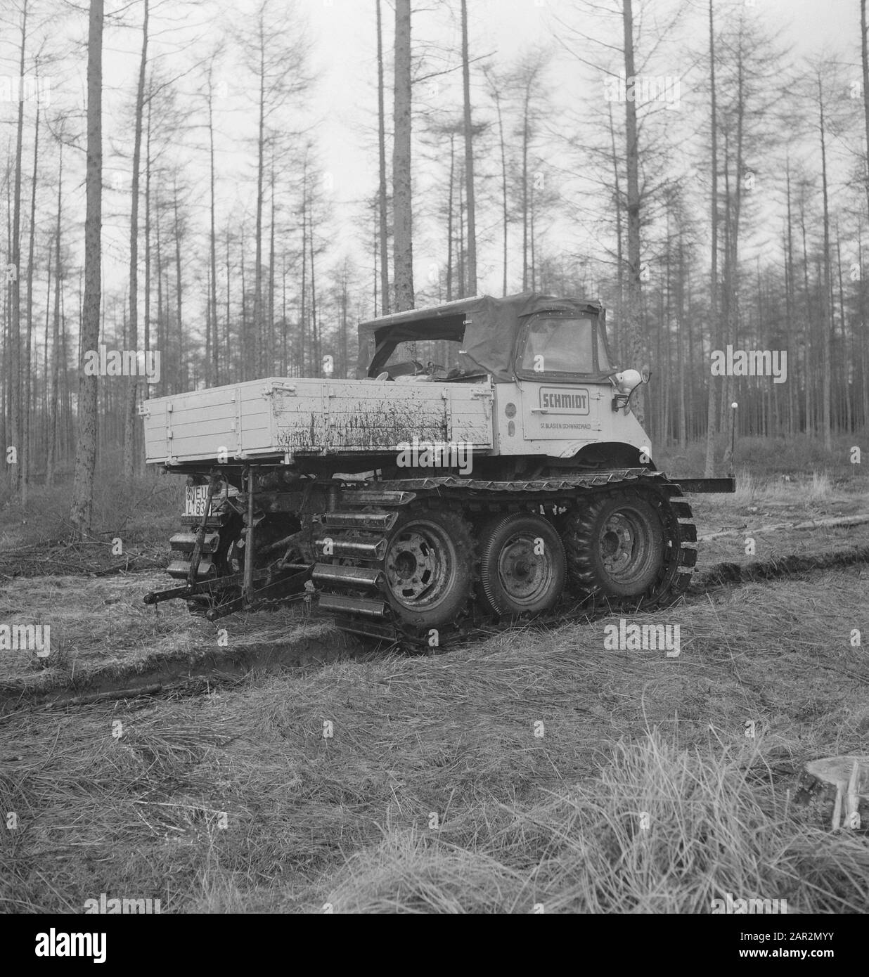 vehicles, tracks, forests Date: undated Keywords: forests, tracks ...